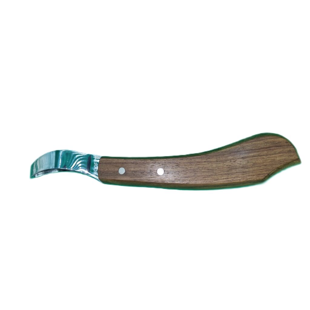 Loop Hoof Knife 03 - Professional Farrier Tool